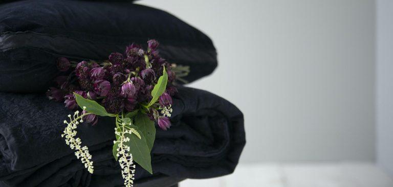 With Apologies to Edgar Allan Poe, Bella Notte's Corvino | Architects ...