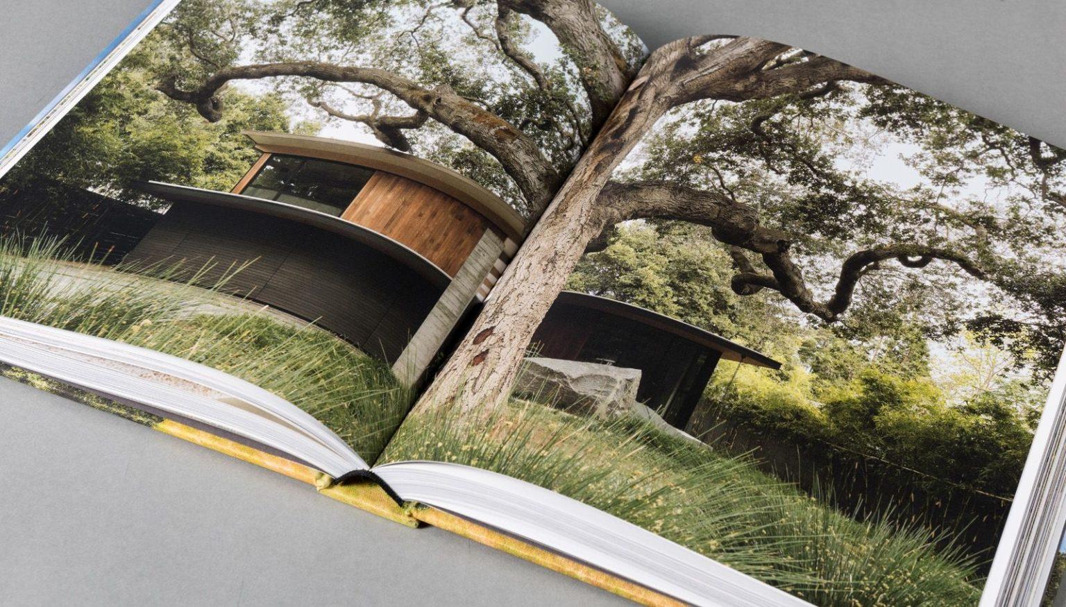 Immersed: The California Houses of Feldman Architecture | Architects ...